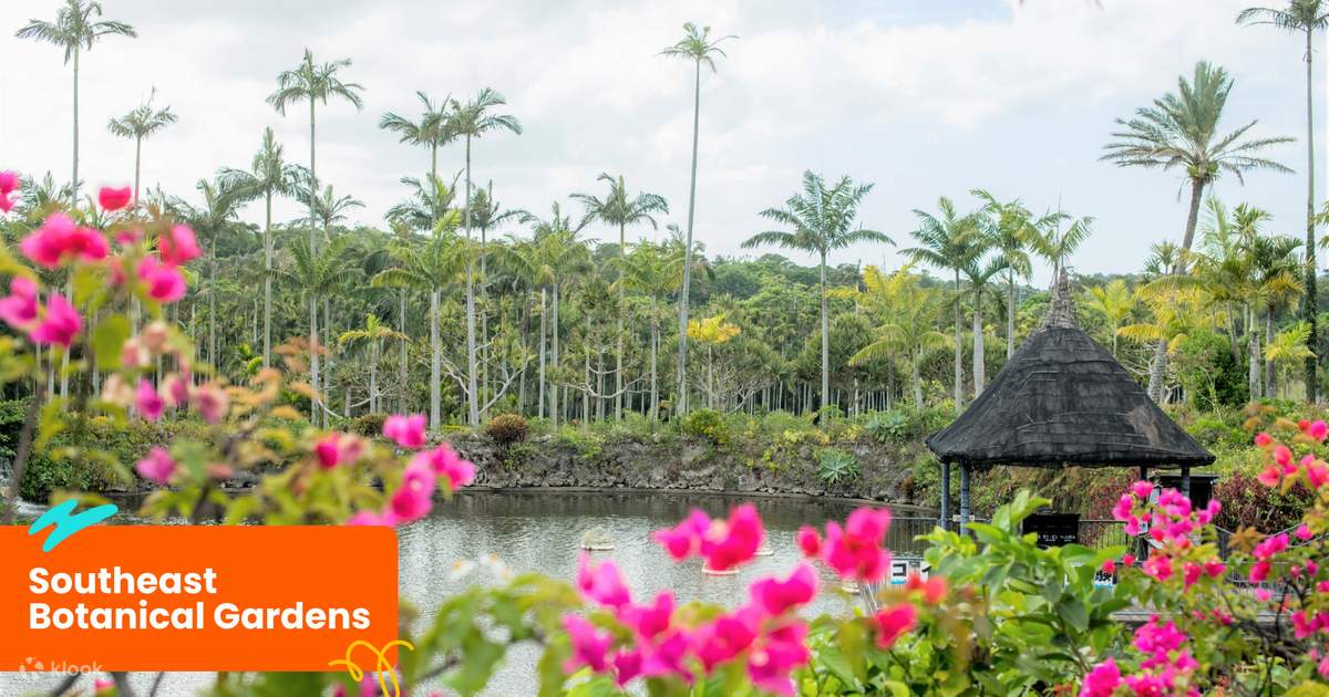 Klook Okinawa Multi Attractions Pass [Bundle & save!] - Klook